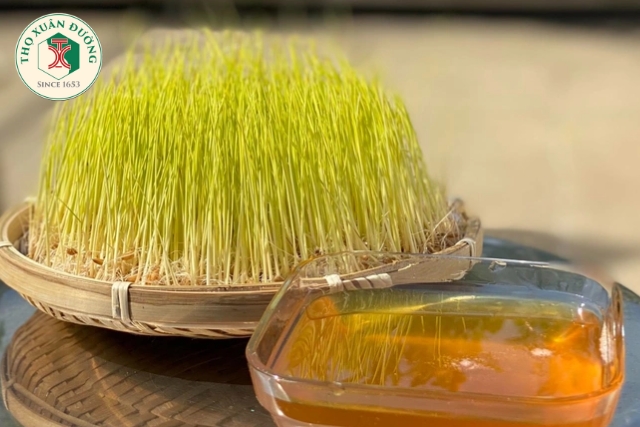 Mạch nha là loại ngũ cốc có nhiều chất dinh dưỡng